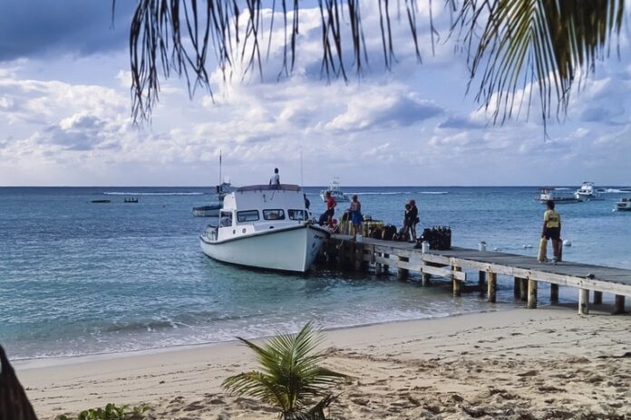 The Ultimate Guide to Grand Cayman Tours: Top Must-See Destinations ...